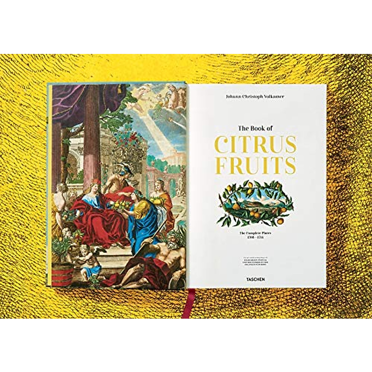 J. C. Volkamer The Book of Citrus Fruits: The Complete Plates 1708-1714, Numbered Edition 0971