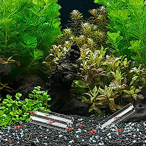 WEAVERBIRD 3-Tube Fish Shrimp Feeder Breeding Tube, Aquarium Fish Tank Pipe Shelter Acrylic Transparent Tube Fish Tank Shelter Decorations