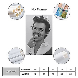 Harry music House Styles Love On Tour Poster Canvas Wall Art Prints for Wall Decor Room Decor Bedroom Decor Gifts 16x24inch(40x60cm) Unframe-style