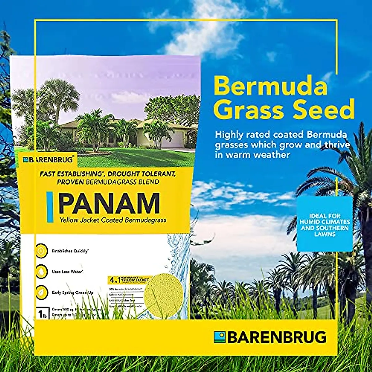 Barenbrug PanAm Bermudagrass with Yellow Jacket Coating - Grass Seed for Sunny Areas and Humid Climates - New and Improved Blend, (1 LB Bag)