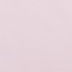 Amazon Basics Soft, Easy Wash, Lightweight Microfiber Kids Duvet Cover Set (Duvet Insert Sold Separately) - Twin/TwinXL, Peony Pink