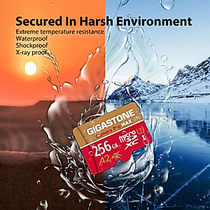[5-Yrs Free Data Recovery] GIGASTONE 256GB Micro SD Card, 4K Camera Pro MAX, A2 V30 MicroSDXC Memory Card for Smartphone, Gopro, Action Cams, 4K UHD Video, Up to 130/85 MB/s, UHS-I U3 C10 with Adapter