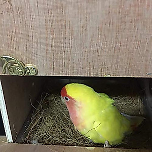 Lucky Interests Coconut Fiber, 9oz. Comfortable Bedding for Small Birds and Animals, Nest Material for Nest Building, Hideouts, Plants and Upholstery