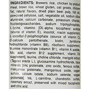 Royal Canin Dachshund Adult Breed Specific Dry Dog Food, 10 lb bag