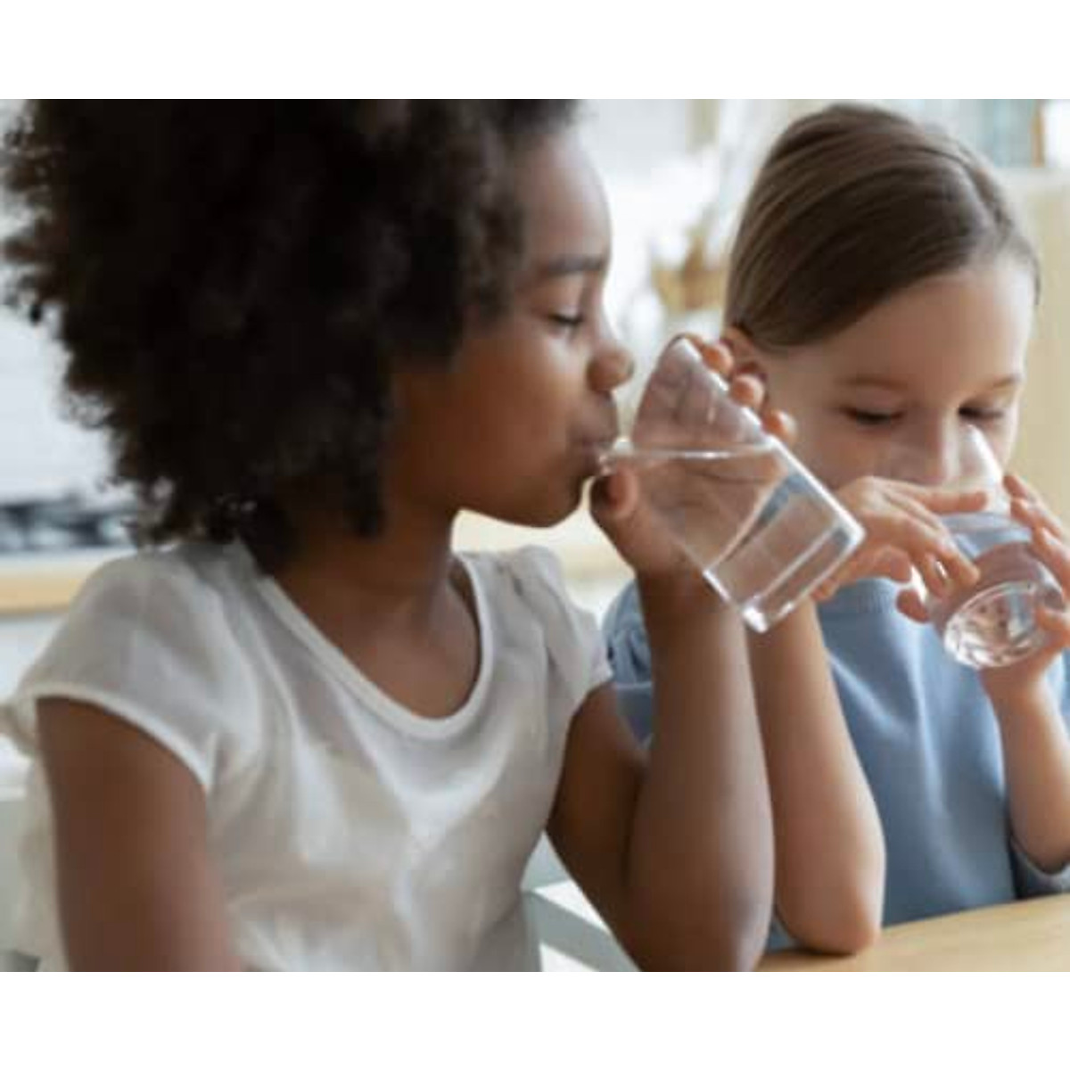 Watts Premier WP560100 5 Micron Carbon Block Water Filter, 2-Pack