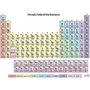 Student Lab Notebook (50 duplicate page sets): perforated carbonless sheets with smooth coil spiral binding