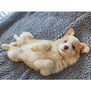 furrybaby Premium Fluffy Fleece Dog Blanket, Soft and Warm Pet Throw for Dogs & Cats (Small (24 * 32"), Grey Blanket)