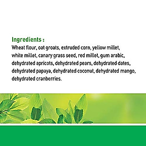 Living World Budgies Fruit Treat Sticks, 2-Ounce