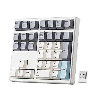 Kisnt Wireless Number Pad, 34 Key 2.4GHz Rechargeable Mechanical Numpad,Gateron Red Switches Hot Swappable Numeric Keypad with PBT Keycaps for Laptop, Mac, PC Desktop