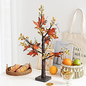 Ethlomoer 2 Pack 24 Inch Artificial Fall Maple Tree, Prelit 48 LEDs for Thanksgiving Decorations Fall Decor, Battery Operated with Timer, Lighted Autumn Tabletop Tree for Harvest Home Indoor Decor