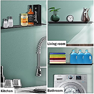 PLUSSEN Metal Wall Shelf,19" Matte Black Floating Shelves Wall Mount,Modern Decorative Shelving for Bedroom, Office, Bathroom, and Living Room.(Aluminum)