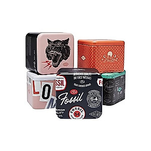 Fossil Men's Machine Quartz Stainless Steel and Leather Three-Hand Watch, Color: Smoke, Amber (Model: FS5900)