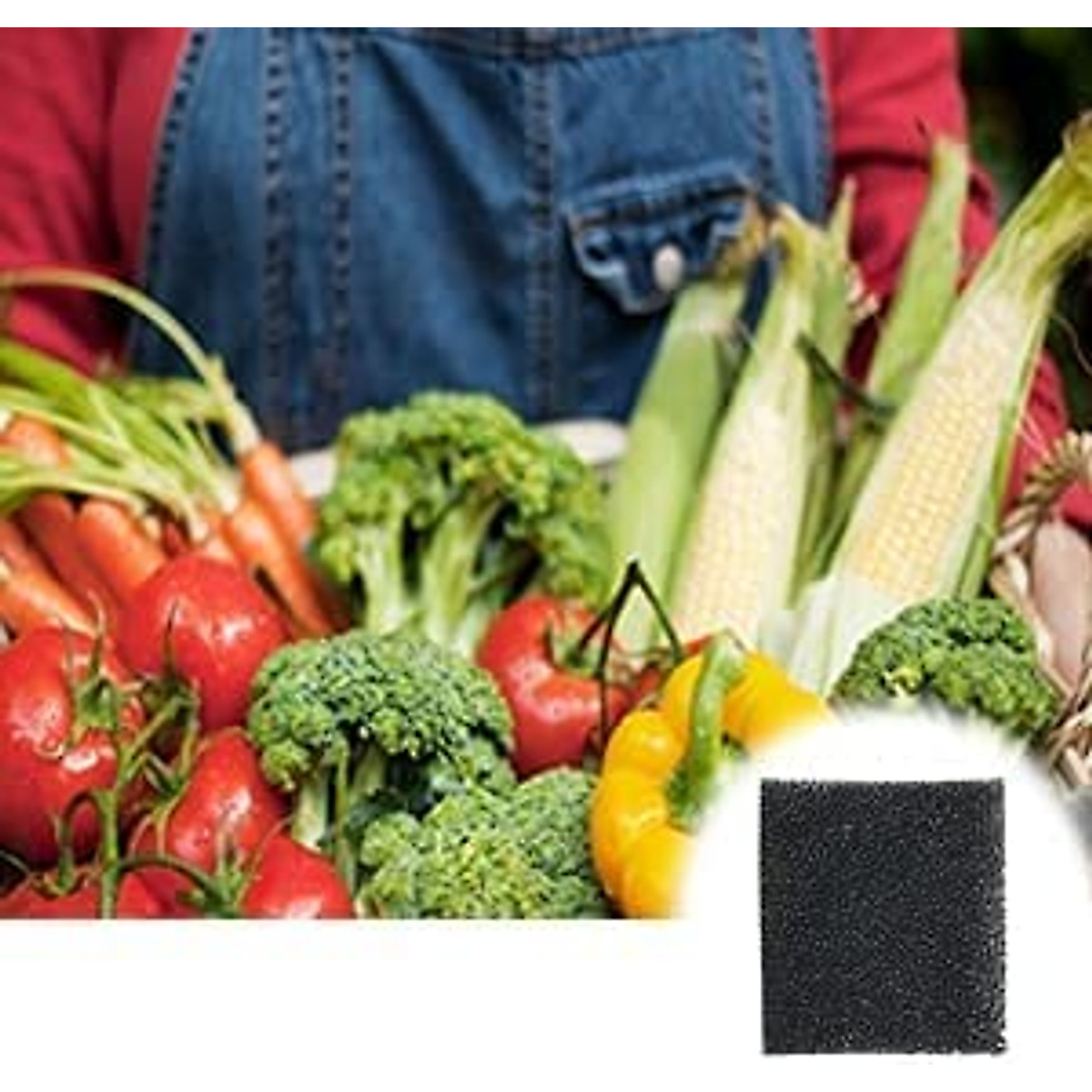 24 Pack Pump Sponge Filter Compatible with AG Garden Harvest, Bounty, Farm, Extra, Ultra All Models, Replacement Pump Filter Accessories