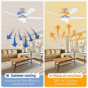 Regair 52 Inch Modern Ceiling Fan with Light and Remote Control, White, Dimmable, Adjustable Color Temperature, Timer, Reversible DC Motors, Easy Installation