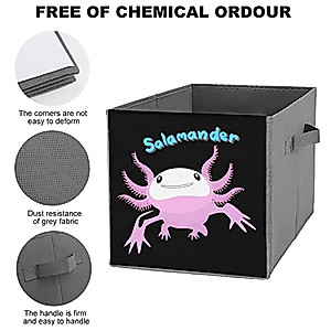 Salamander Axolotl Storage Bin Foldable Cube Closet Organizer Square Baskets Box with Dual Handles