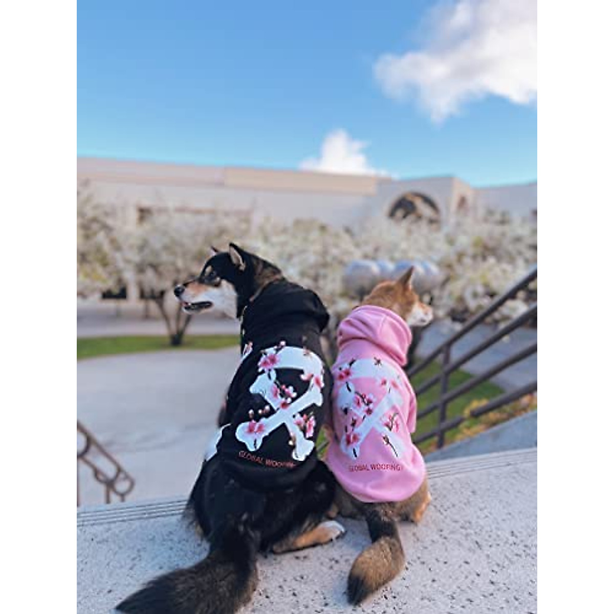 ChoChoCho Woof Dog Hoodie, Designer Dog Hoodies for Small Medium Large Breeds, Art Collection Dog Sweatshirts, Street Drawstring Hoodies Outfit Clothes for Puppy Puppies (M, Sakura/Black)