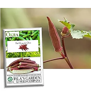 Red Burgundy Okra Seeds for Planting, 100+ Heirloom Seeds Per Packet, (Isla's Garden Seeds), Non GMO Seeds, Botanical Name: Abelmoschus esculentus, Great Home Garden Gift