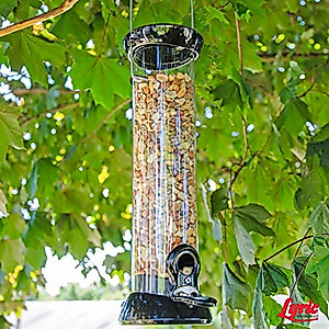 Lyric Delite Wild Bird Seed - No Waste Bird Food Mix with Shell-Free Nuts & Seeds - Attracts Buntings, Chickadees & Finches - 5 lb bag