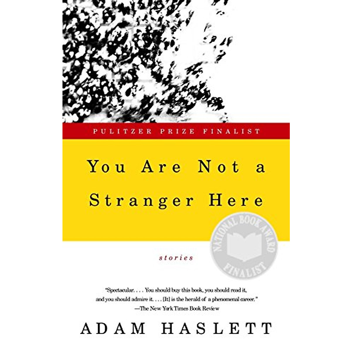 You Are Not a Stranger Here: Stories
