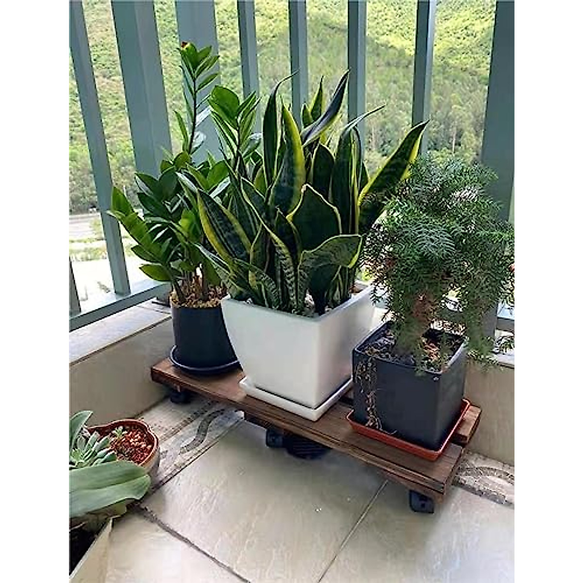Plant Stands with Wheels, Plant Dolly with Wheels, Plant Roller, Heavy Duty Plant Caddy Caster for Patio Outdoors, Holds Up to 100 Lbs, 7.9 x 19.7 Inch