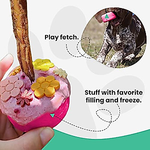 Bully Stick Holder for Dogs - Size Small Interactive Dog Toy, Dog Treat Holder, Slow Feeder, Treat Dispenser, Chew Toy and Dog Safety Device