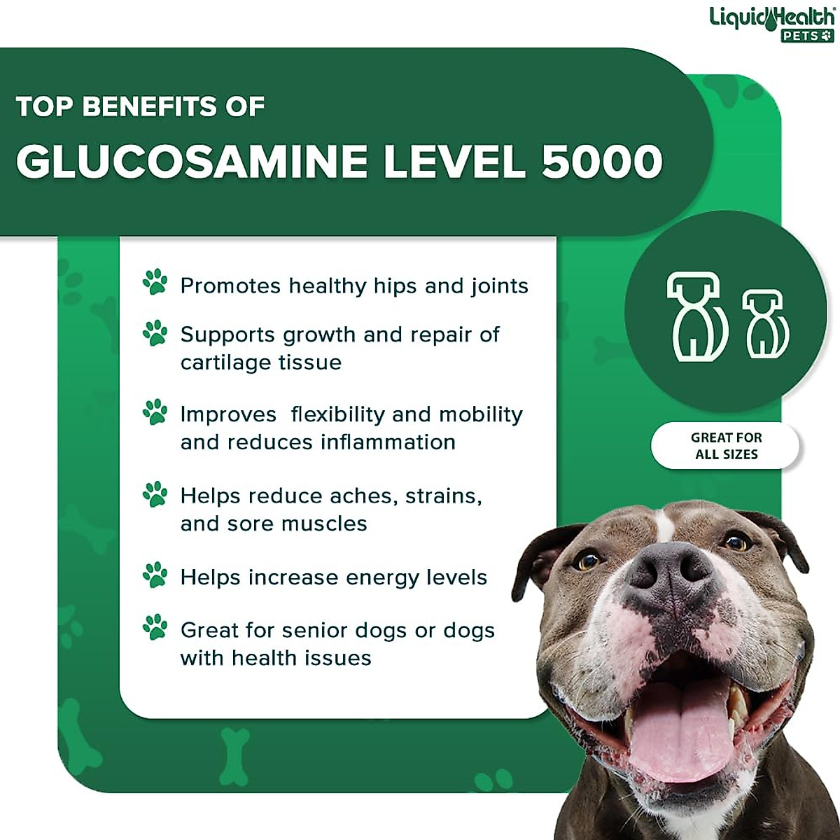 LIQUIDHEALTH 128 Oz K9 Liquid Glucosamine Level 5000 for Dogs, Large Dogs and Breeds - Chondroitin, MSM, – Joint Health Supplements, Dog Vitamins Hip Joint Juice, Dog Joint Oil - 1 Gallon