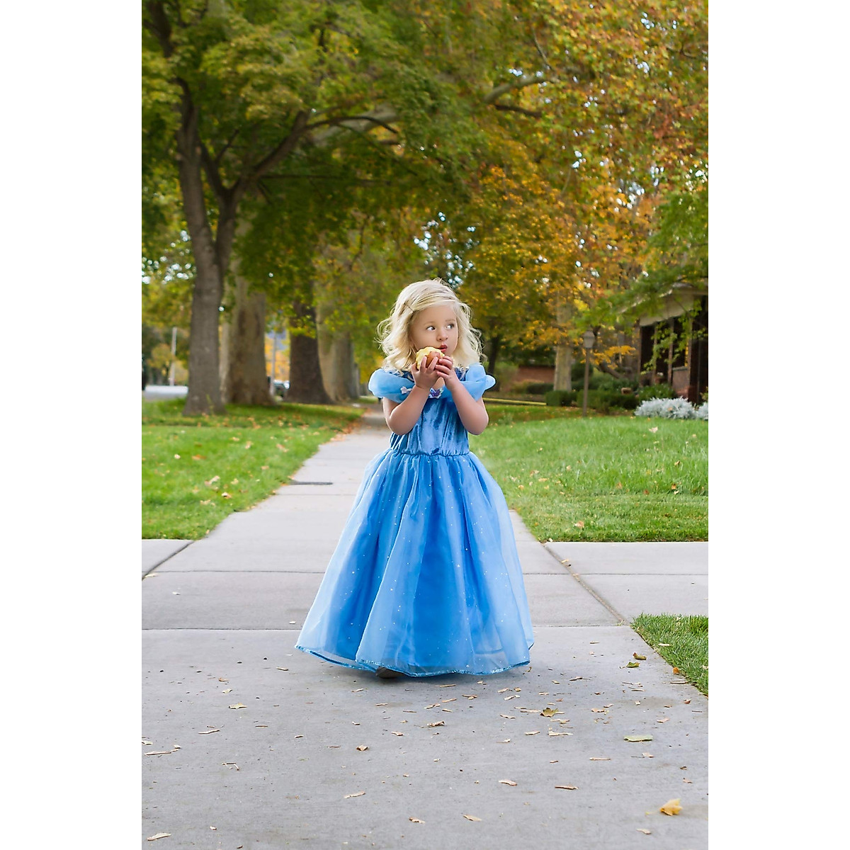Little Adventures Deluxe Cinderella Butterfly Princess Dress Up Costume for Girls (Large Age 5-7) - Machine Washable Child Pretend Play and Party Dress with No Glitter