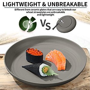 Zopeal 15 Pcs 10 Inch Wheat Straw Plates Lightweight Unbreakable Deep Dinner Plates Reusable Plastic Plates Microwave Safe Dinnerware for Kids Children Toddler Adult (Gray)