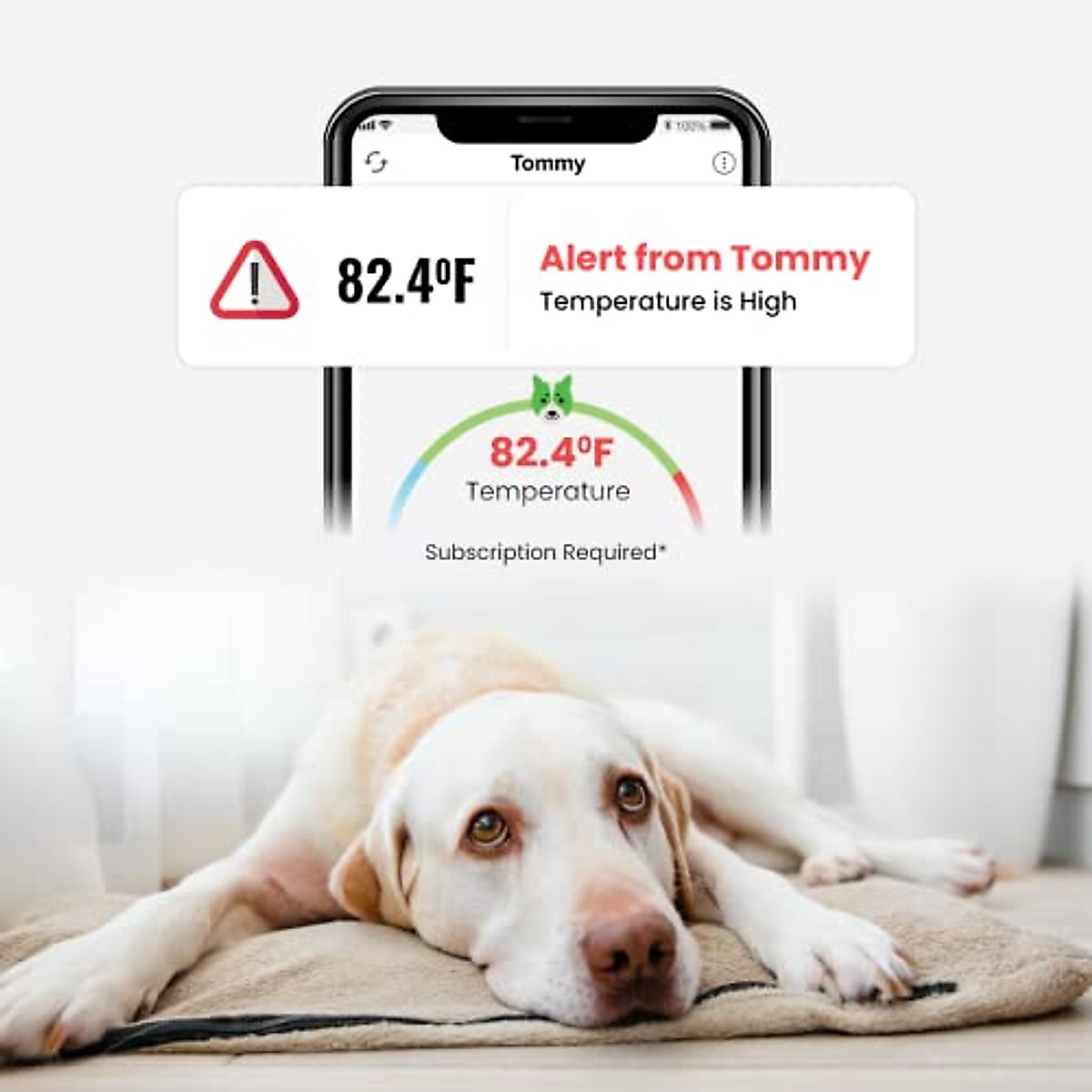 Waggle RV/Dog Safety Temperature & Humidity Sensor | Wireless Pet monitoring system | Verizon Cellular | Instant Alerts on Temp/Humidity/Power loss via SMS/Email 24/7 | No WiFi | Subscription Required