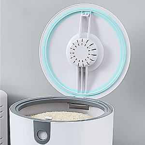 Rice Dispenser Kitchen Organization, Dry Food Storage Container with Flip Lid for Cereal Grain, Black Rice, Pet Food, Beans