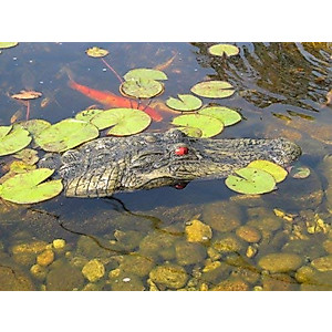 TJB-INC 22" Alligator Head Decoy & Pond Float with Reflective Eyes for Canada Geese & Blue Heron Control