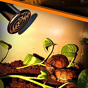 Lucky Farm Reptile Heating Lamp Bulb 2pcs Amphibian Ceramic Infrared Heat Lamp Emitter with no Light for Brooder Chicken Coop ,Hedgehog, Iguana Lizard Bearded Dragon Turtle Snake(Black, 100W)