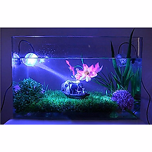 Supyouleg LED Aquarium Light Fixtures Small Gallon Submersible Planted Fish Tank Lights for Saltwater and Freshwater Aquariums