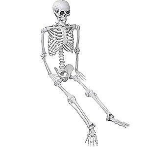 5.4ft/165cm Halloween Skeleton - Halloween Human Skeletons Full Body Bones with Movable Joints for Halloween Props Spooky Party Decoration
