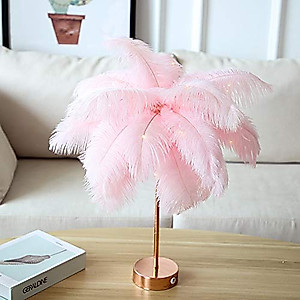 Naisicore Feathers Table Lamps, 18.9inch Ostrich Feather Night Light, USB/Battery Powered Bedside Lamps, Desktop Atmosphere Lights Gift for Mother, Girlfriend Wedding Decoration (Pink)