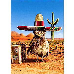 Owl Sombrero Avanti Funny Birthday Card