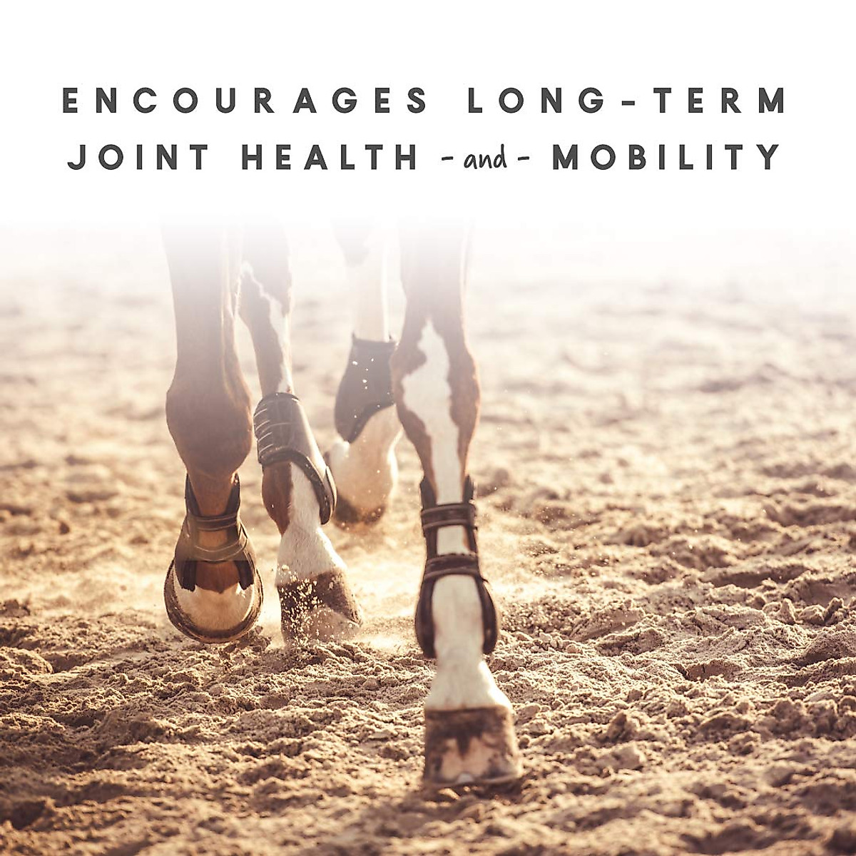 Manna Pro Cetyl-M Joint Supplement for Horses - Powered by Omega 5 Fatty Acids - 11.2 lb