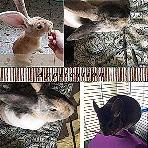 William Craft Apple Sticks Pet Chew Toy Treats for Chinchilla Guinea Pigs Rabbits Squirrel Hamster Bunny