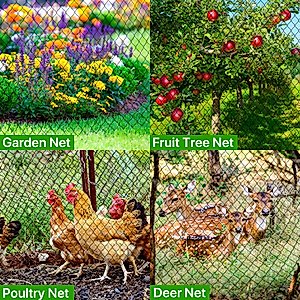 Bird Netting for Chicken Coop - 50x50ft Poultry Netting Over Chicken Run & Chicken Pen, Heavy Duty 2.4” Mesh Garden Net for Blueberry Bushes, Fruit Trees and Vegetable Against Birds, Deer, Squirrels