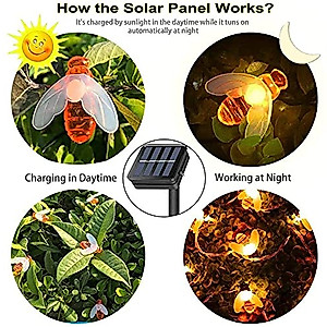 Solar Bee String Lights 2 Pack Each 23Ft Total 100 LED Solar Bee Fairy Lights 8 Modes Copper Wire Lights Waterproof Outdoor String Lights for Garden Patio Gate Yard Party Wedding Indoor Bedroom
