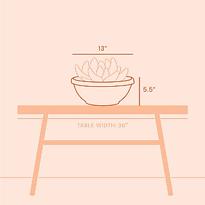 Bloem Terra Plant Bowl Planter 14" - Black