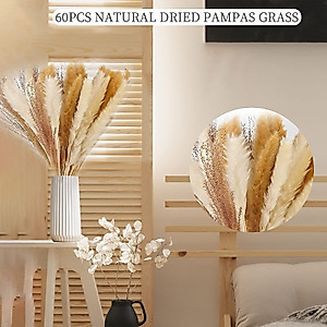 EVOLUX Pampas Grass Decor,60 Pcs Natural Dried Pampas Grass|15 Pcs White & 15 Pcs Beige & 30 Pcs Reed Grass,17" Pompas Grass for Flowers Arrangement Home Garden Wedding Decor
