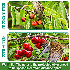 Bird Netting for Garden Protection, 13x32FT Garden Netting w/ 0.8" Mesh, Poultry Netting for Chicken Coop, Deer Fence Netting for Plants Fruit Trees Vegetables Against Birds, Squirrels, Other Animals