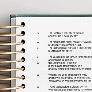 Illustrating Bible CSB Green (Spiral Bound Journaling Bible)