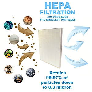 HQRP True HEPA + 4 Carbon Filter Set compatible with Electrolux EL480A EL490A EL491A Oxygen3 PlasmaWave, part EL017 Replacement