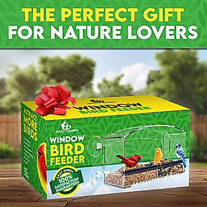 Gray Bunny Window Bird Feeder with Strong Suction Cups, Modern Window Bird Feeders for Outdoors Viewing, Clear Transparent Squirrel Proof Birdfeeder, Drain Holes, Removable Tray, Large Seed Capacity