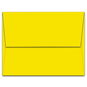 Note Card Cafe Happy Birthday Cards with Yellow Envelopes | 24 Pack | Pterrific Pterodactyl Design | Blank Inside, Glossy Finish | Bulk Set for Greeting, Occasions, Birthdays