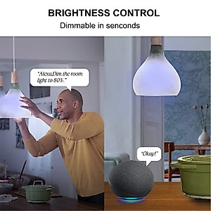 Sengled Smart Bulb, WiFi Light Bulbs, Color Changing Light Bulb, Smart Light Bulbs that Work with Alexa & Google Assistant, A19 RGB Alexa Light Bulb No Hub Required, 60W Equivalent 800LM CRI>90, 1Pack