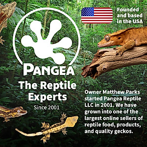 Pangea Ultimate Eco Dish, Crested Gecko Food and Water Bowl for Terrestrial Lizards, Durable Silicone Feeding Accessory for Reptile Terrariums 3.125in x 5.5in (Grey Marble)