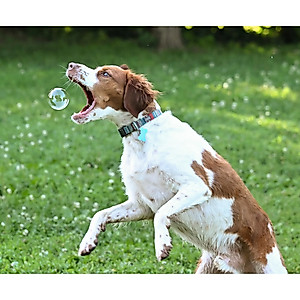 Puppy Love Bubbles, Bacon Scented Bubbles 4oz. Bottle-2 Pack in Bacon Flavor for Dogs